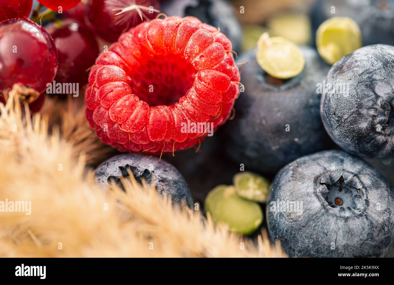 Natural background with different wild berries, macro shot Stock Photo ...