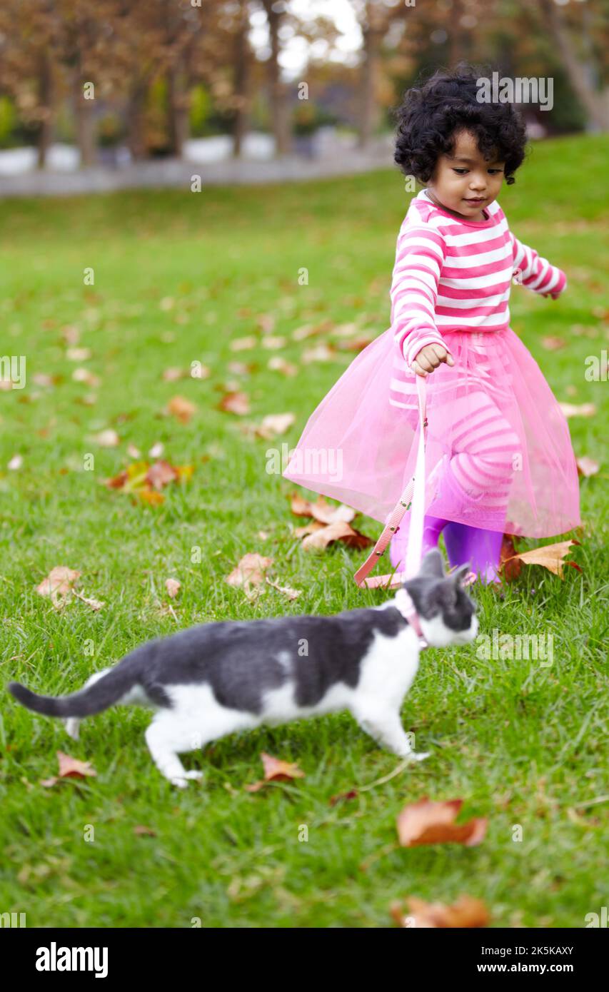 Lets walk this way....Cute little girl taking her kitten for a walk on ...