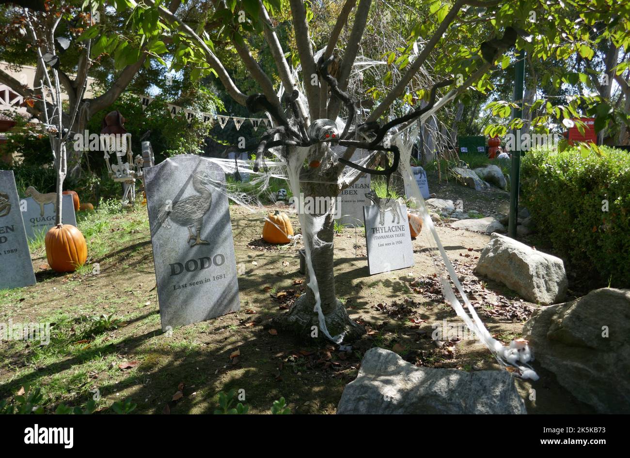 Los Angeles, California, USA 7th October 2022 Graveyard of Extinct ...