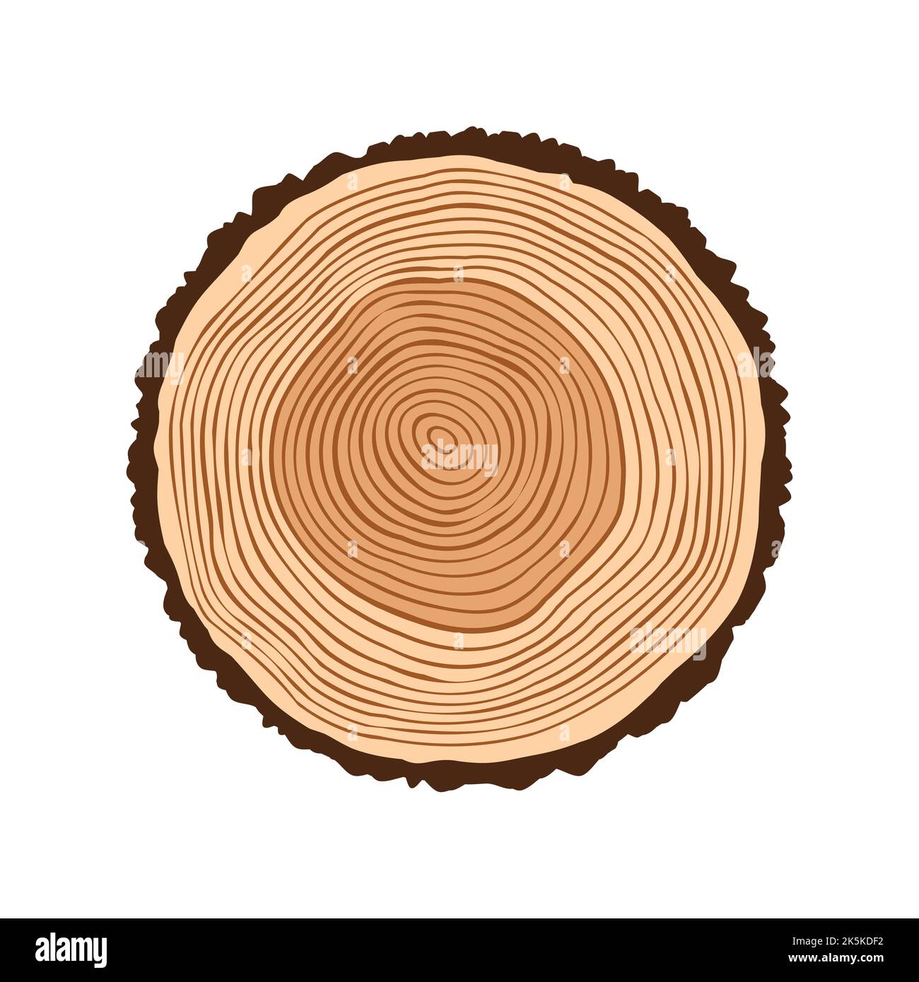 Round tree trunk cut, sawn pine or oak slice. Saw cut timber, wood ...