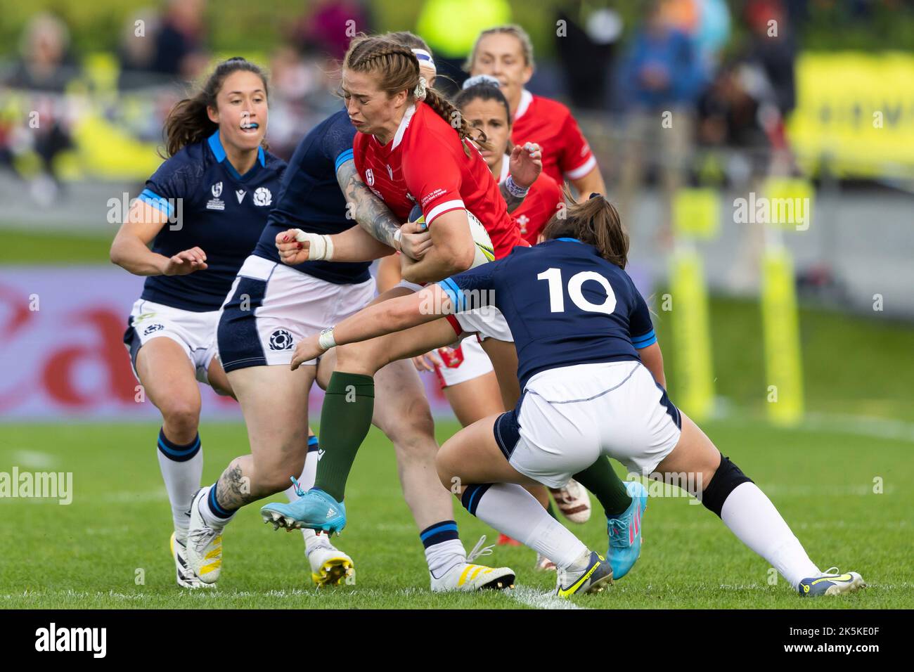 Lisa neumann hi-res stock photography and images - Alamy