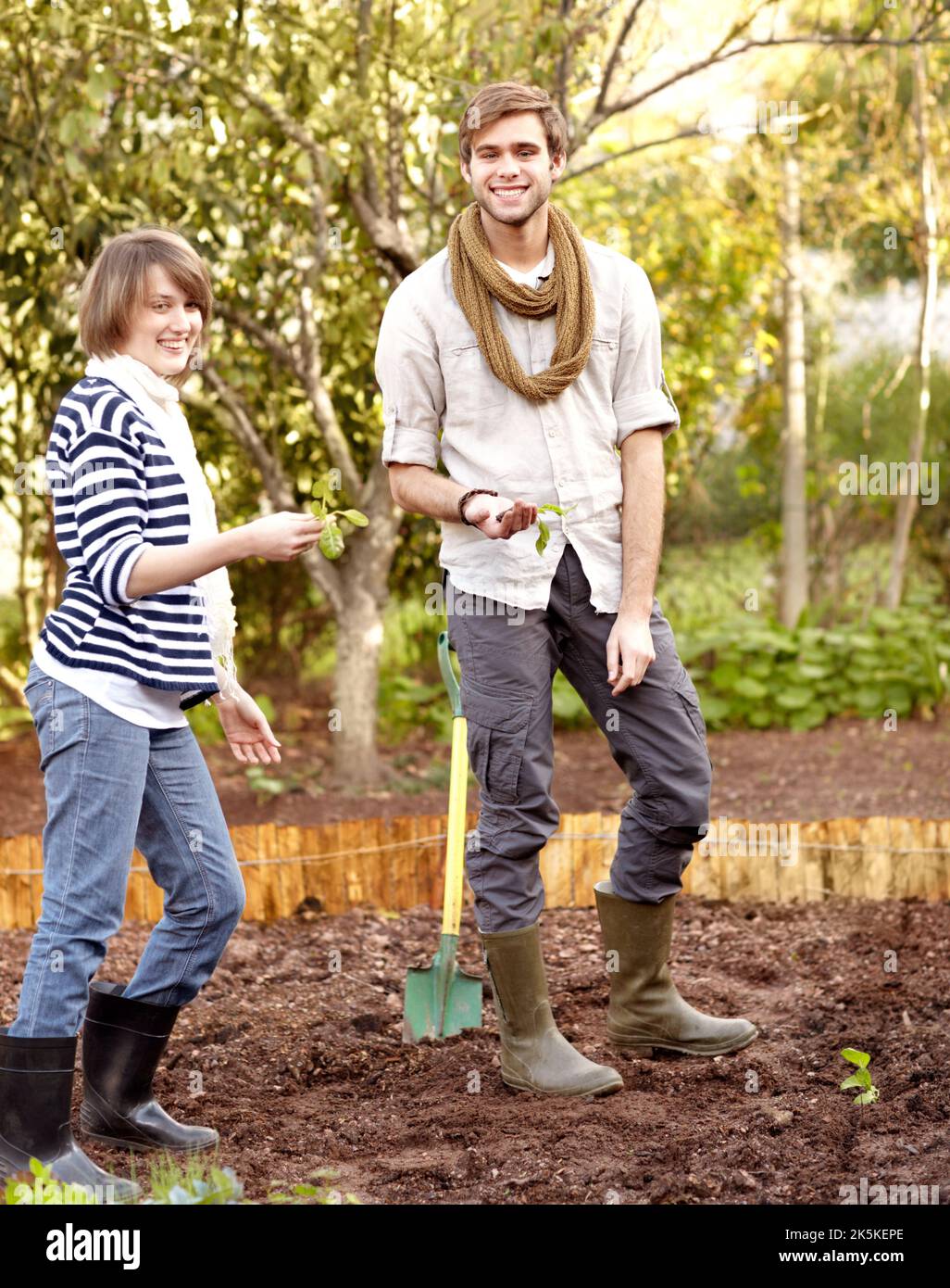 Growing their own produce. a young couple planting seedlings in their ...