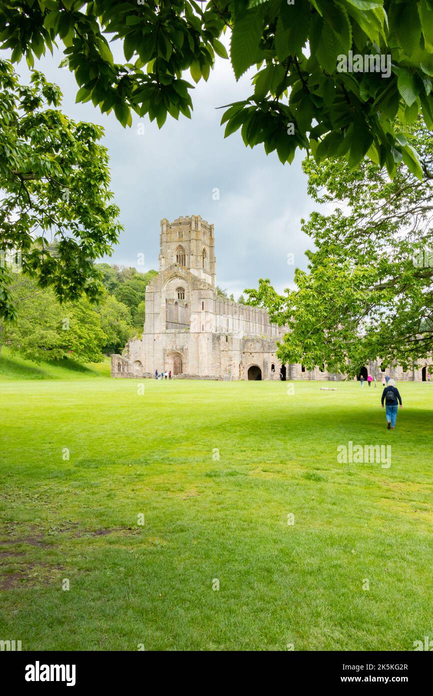 Fountains abbey and church near ripon yorkshire uk Ancient abbey ruins ...