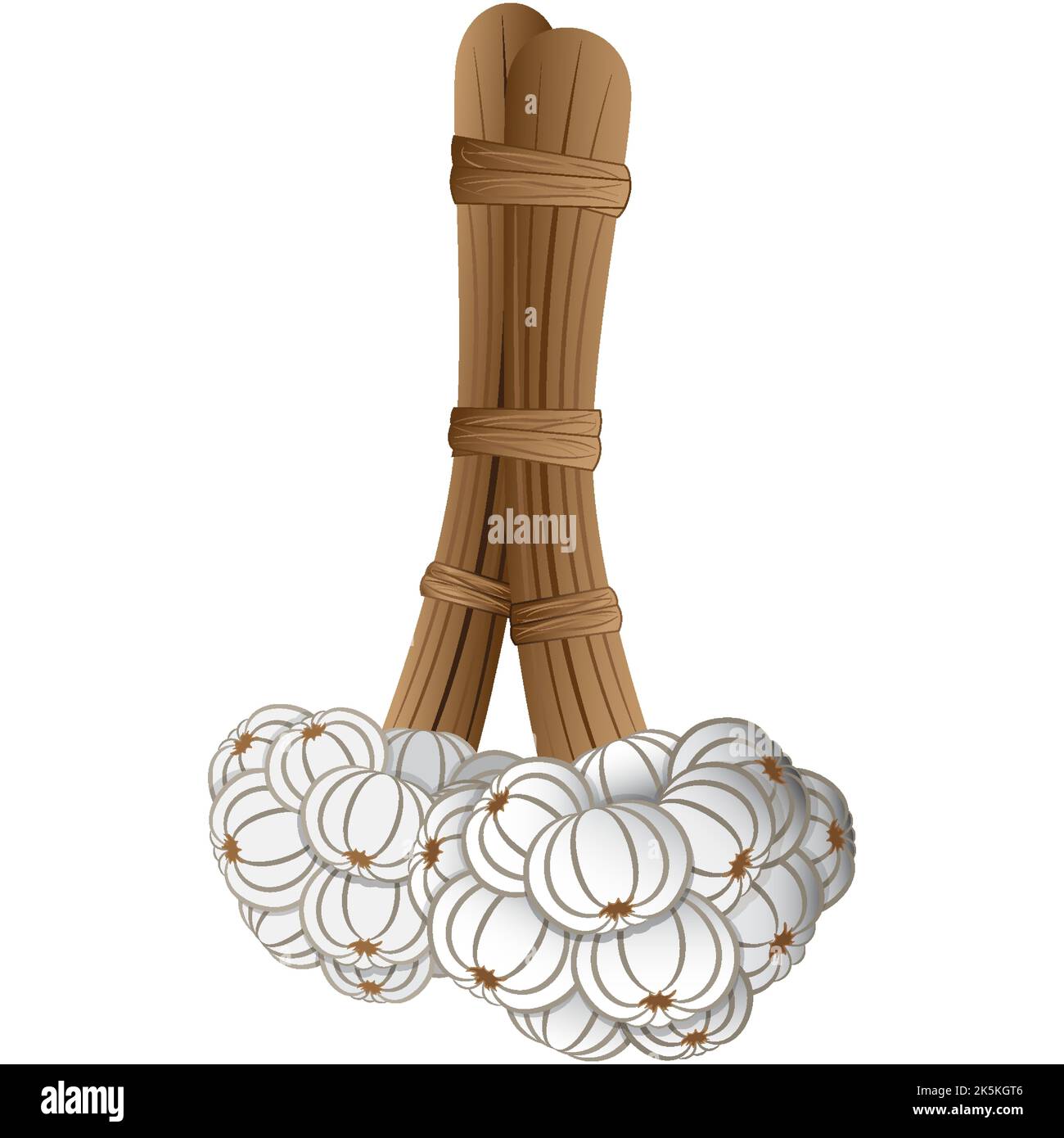 vector illustration of garlic isolated on white background Stock Vector ...