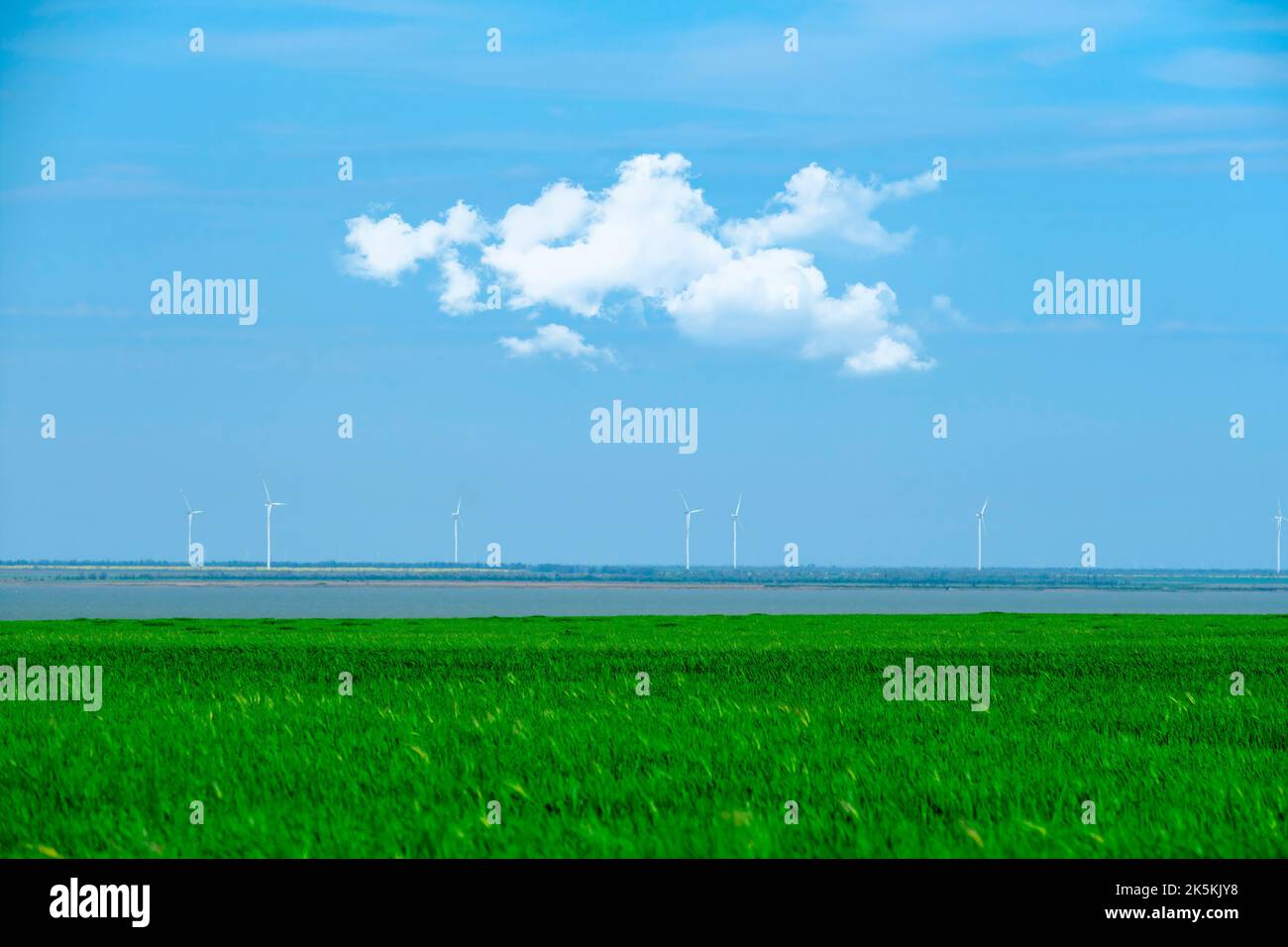 Wind turbines on beautiful sunny summer landsape. Above Cloud Windmills ...