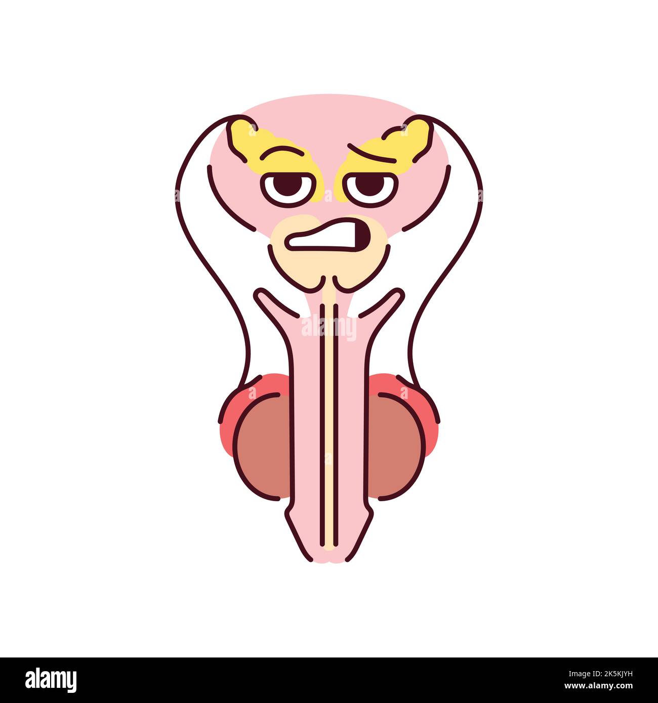 Man reproductive system color line icon. Mascot of emotions Stock ...
