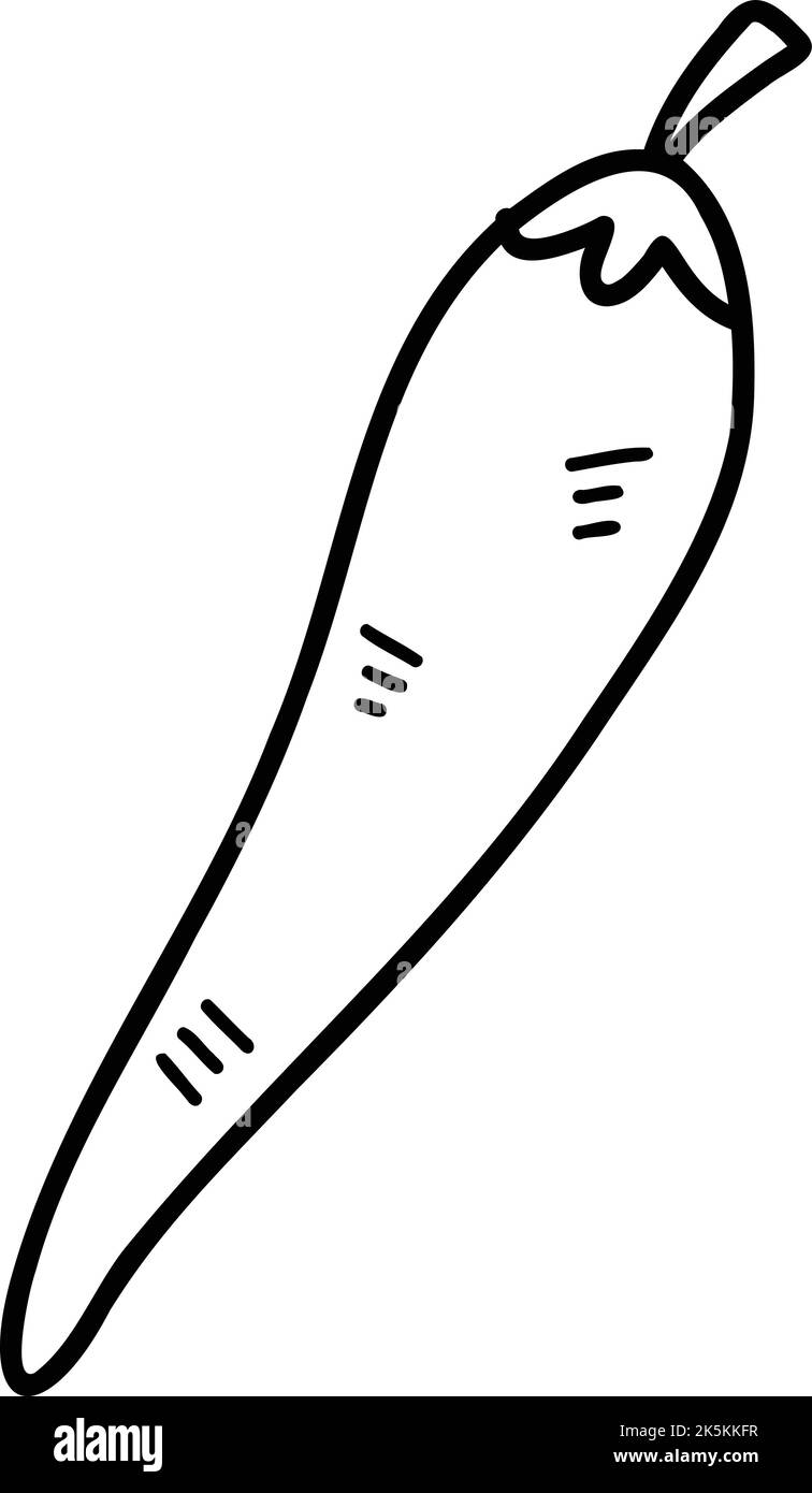 Hand Drawn pepper illustration isolated on background Stock Vector ...