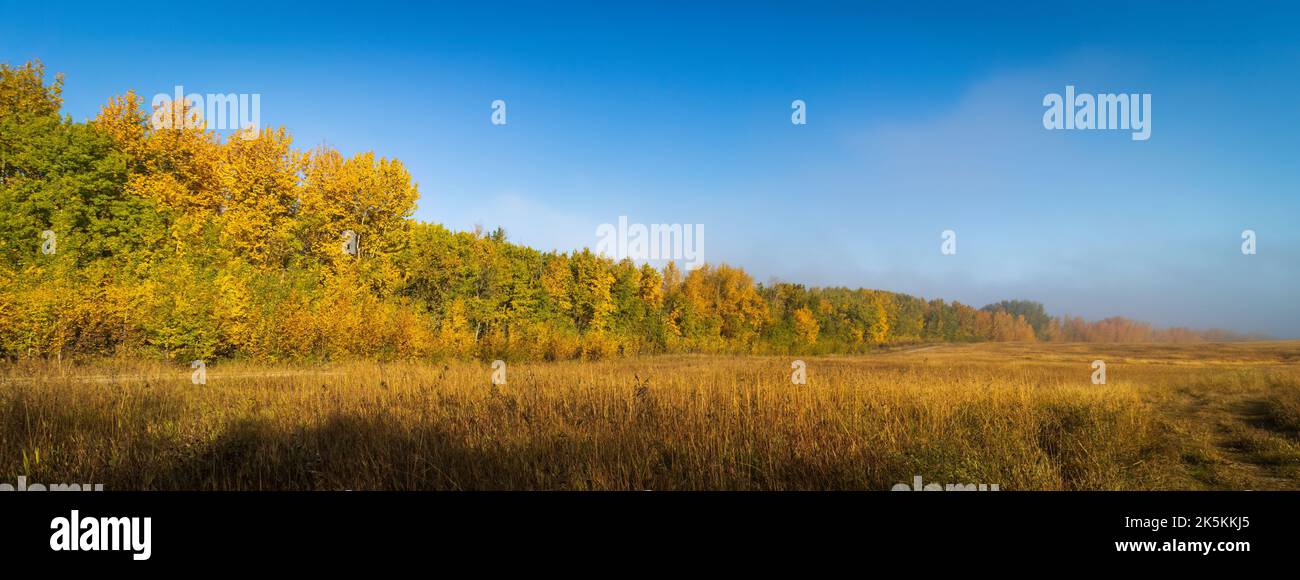 A panoramic view of a green field against trees in Lois Hole Centennial ...