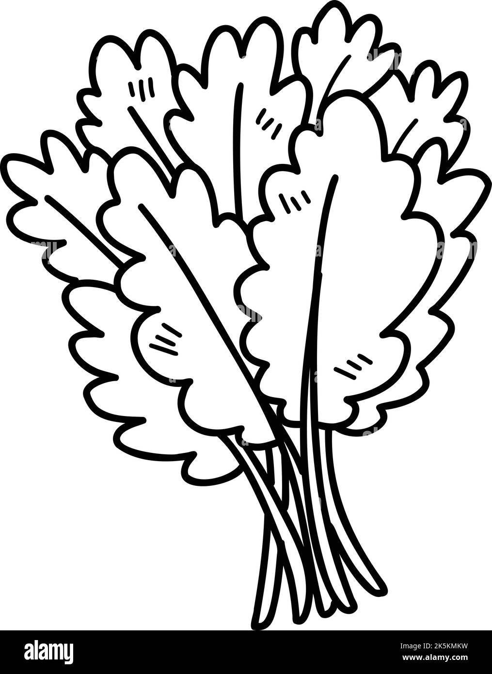 Hand Drawn mixed vegetables illustration isolated on background Stock ...