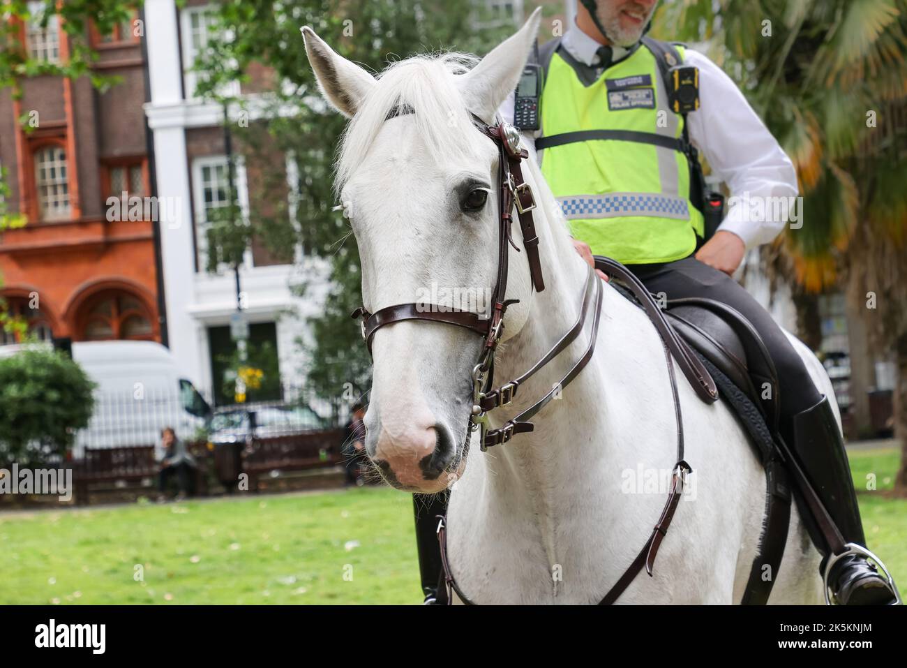 British policeman on horseback patrolling at Soho Square, London ...