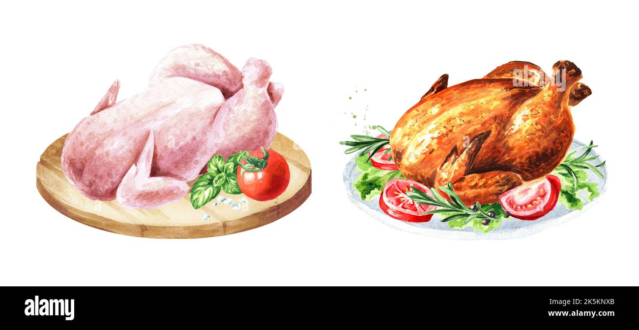 Raw and grilled broiler chicken set. Hand drawn watercolor illustration ...