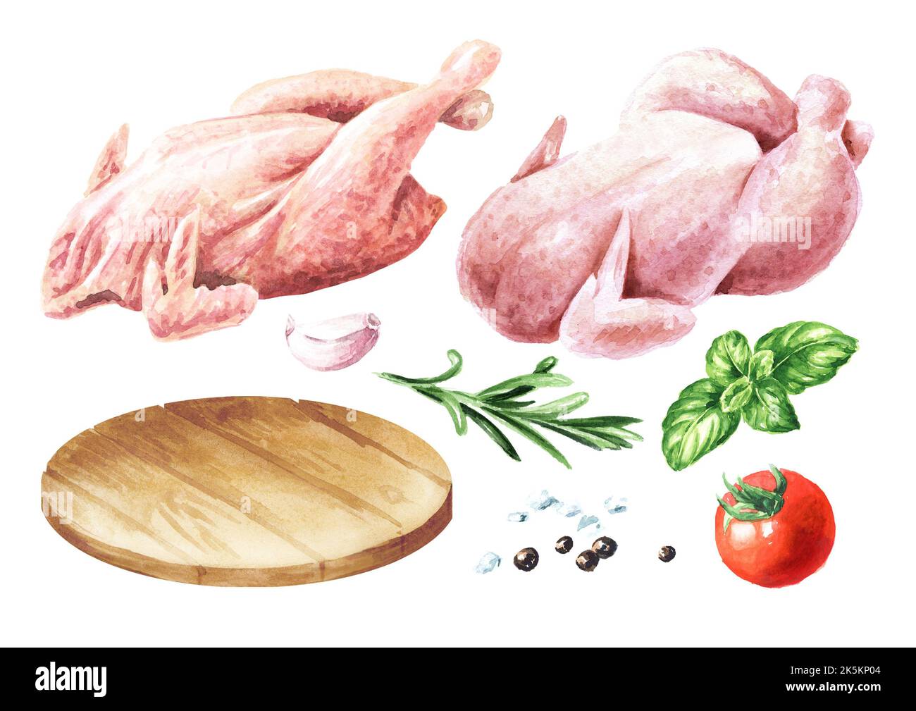 Raw chicken hen carcass broiler and free grazing, farm set. Hand drawn ...