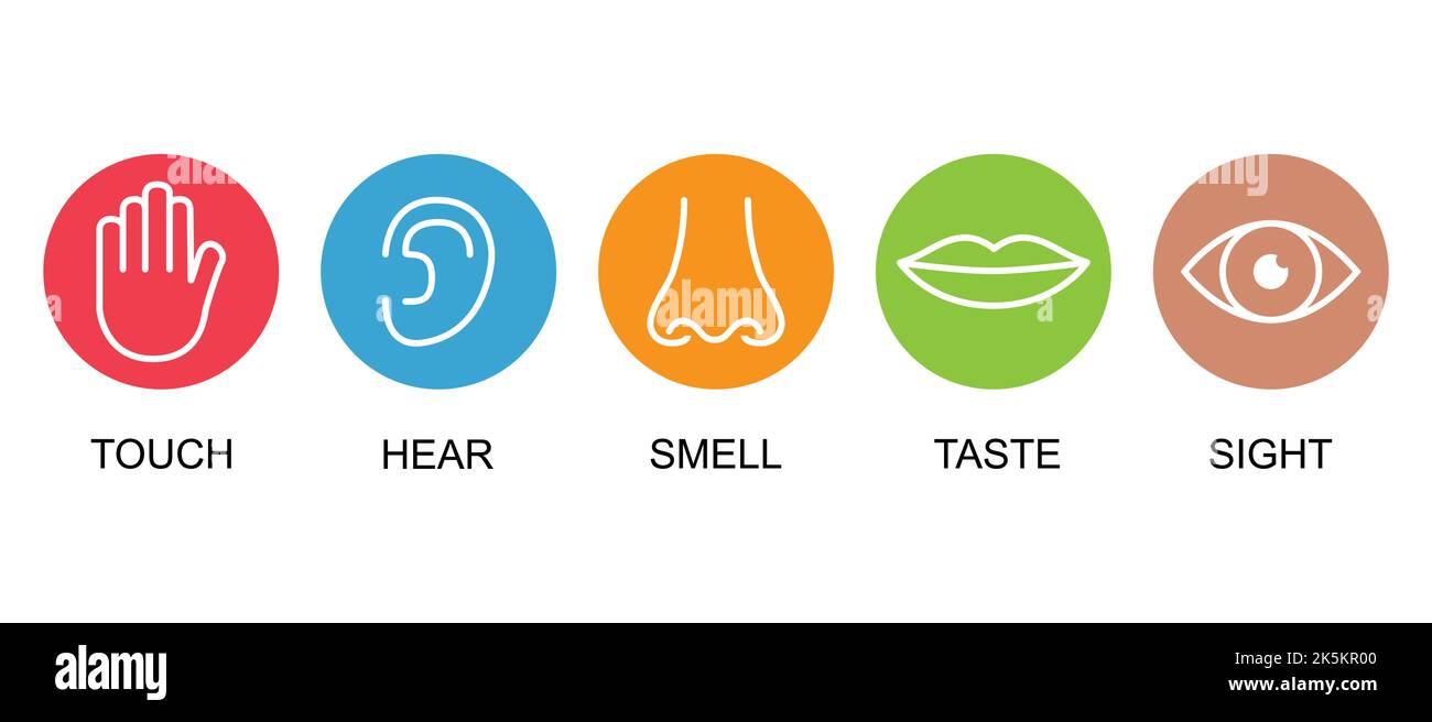 Outline icon set of five human senses: vision eye smell nose hearing ...
