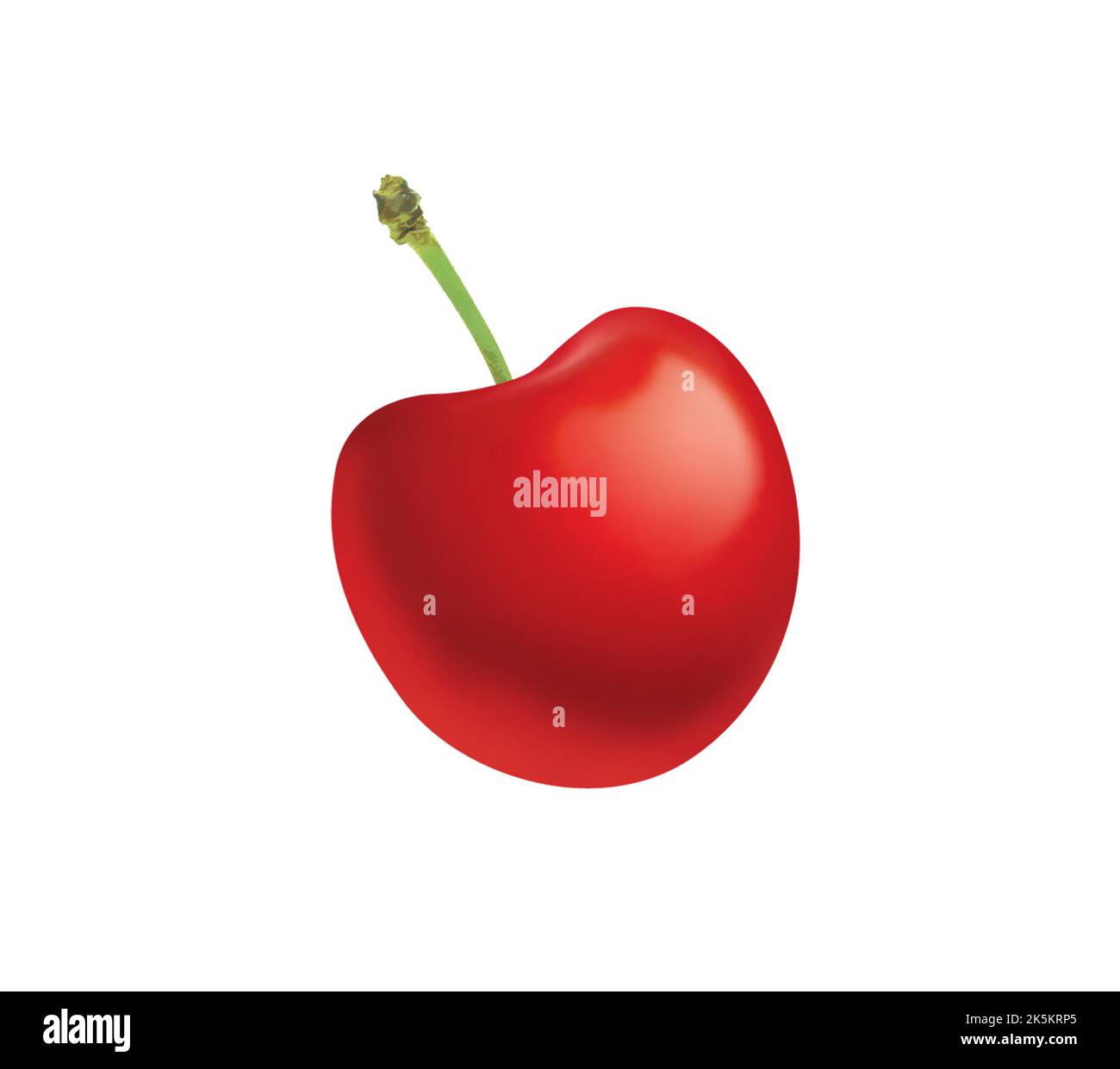 Cherry illustration, realism, photo realistic Stock Photo - Alamy