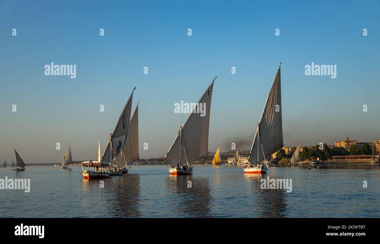 The three Feluccas sailing on the Nile river under a light blue sky in ...