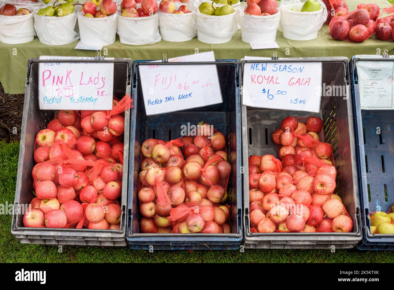 Various varieties of apples for sale at a stall in the Margaret River ...