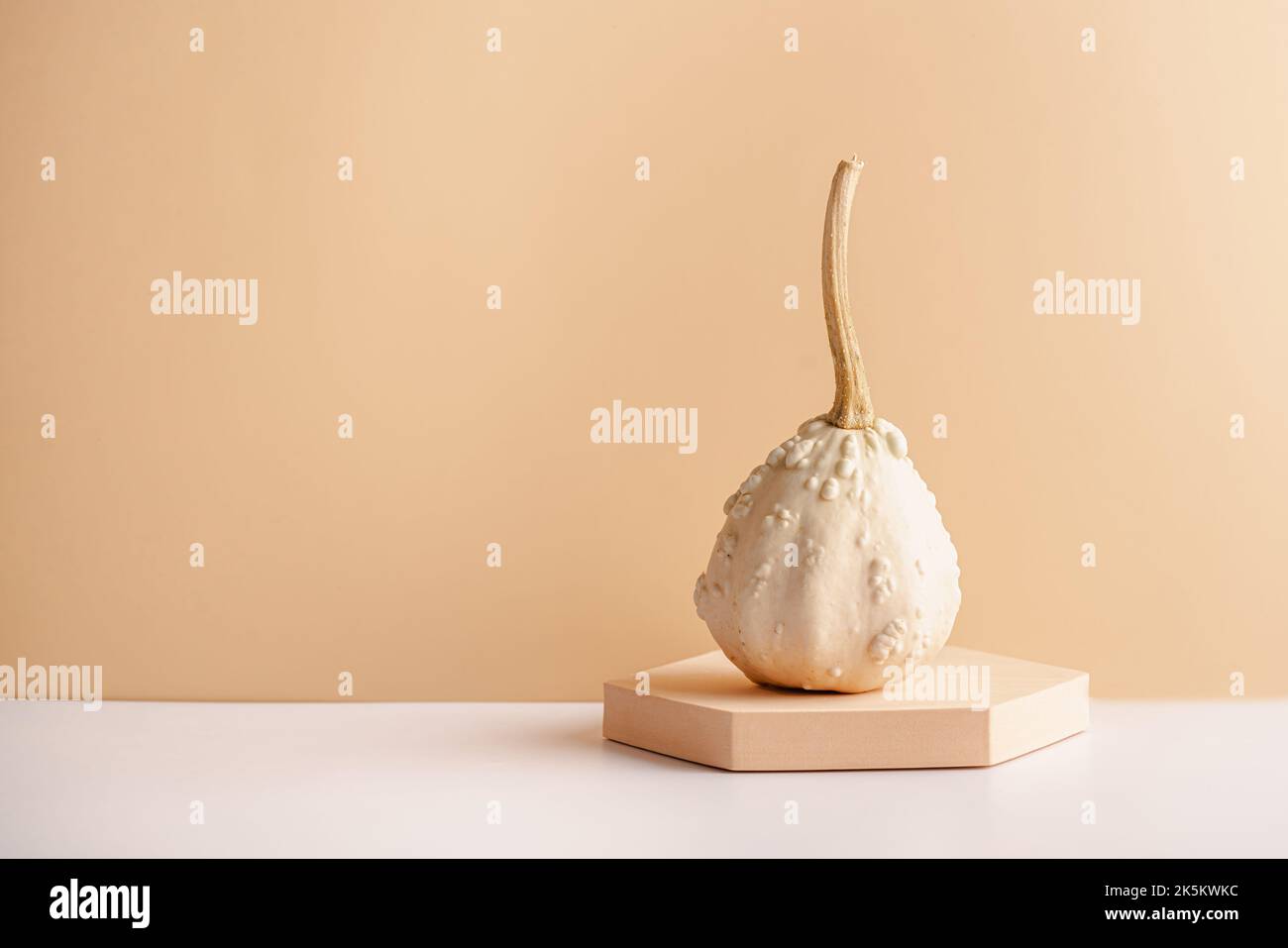 Different types of pumpkins Stock Photo - Alamy