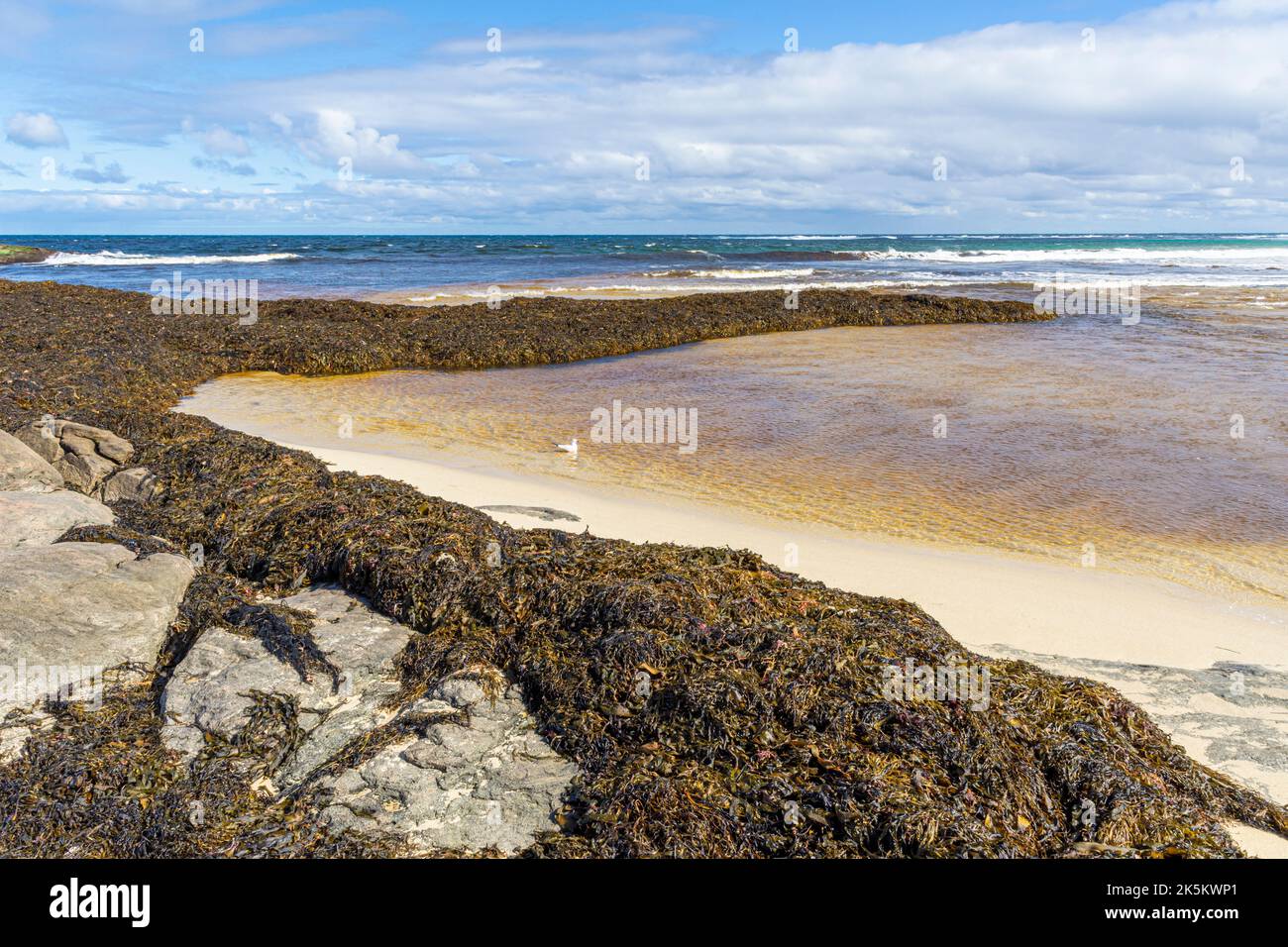 Marine piles hi-res stock photography and images - Alamy
