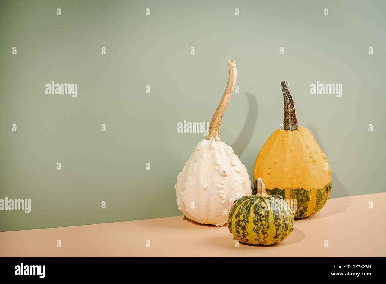 Decorative pumpkins on light orange Stock Photo - Alamy