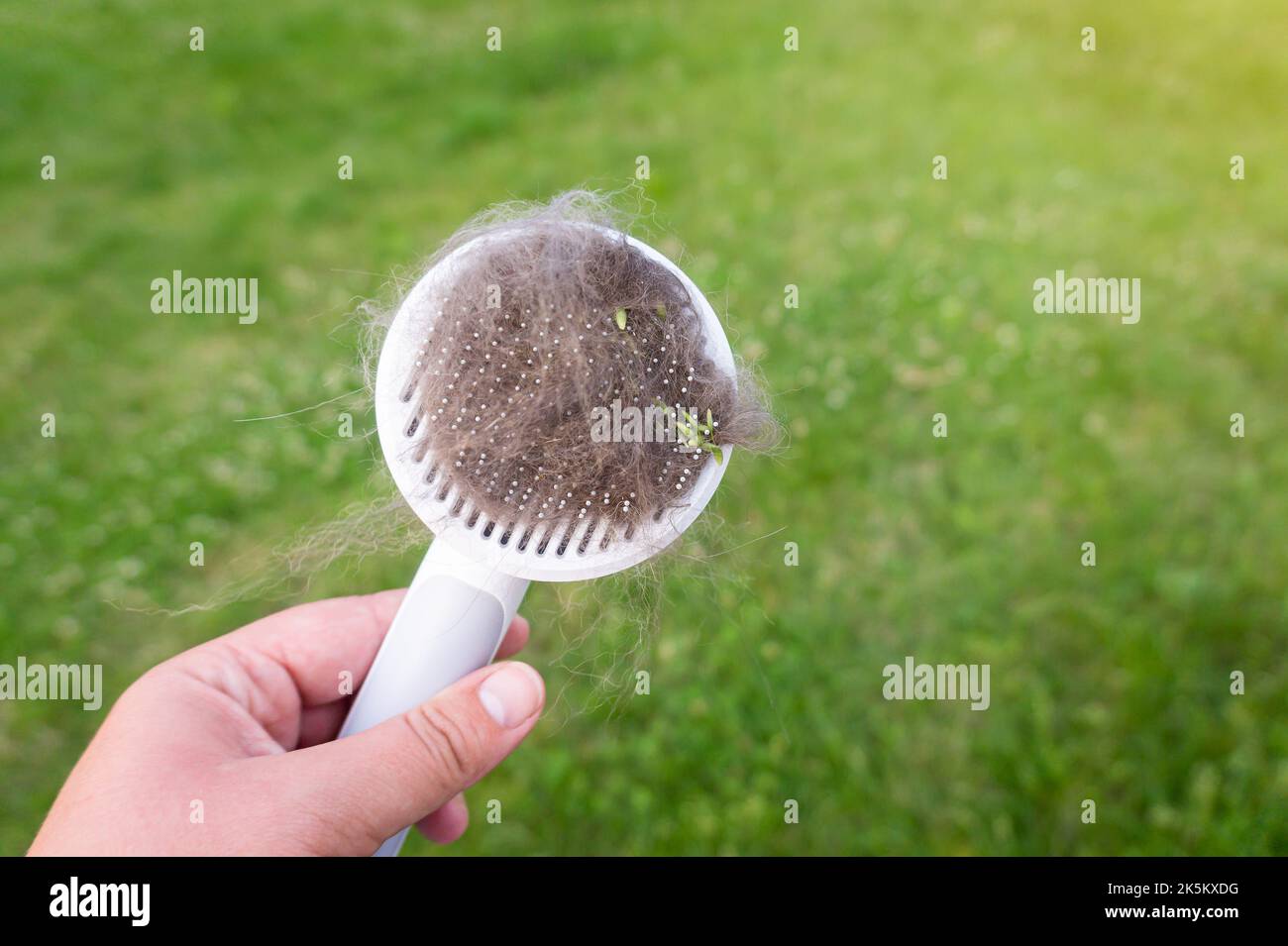 Brush full of cat and dog fur and stickers. Comb for pet grooming in ...