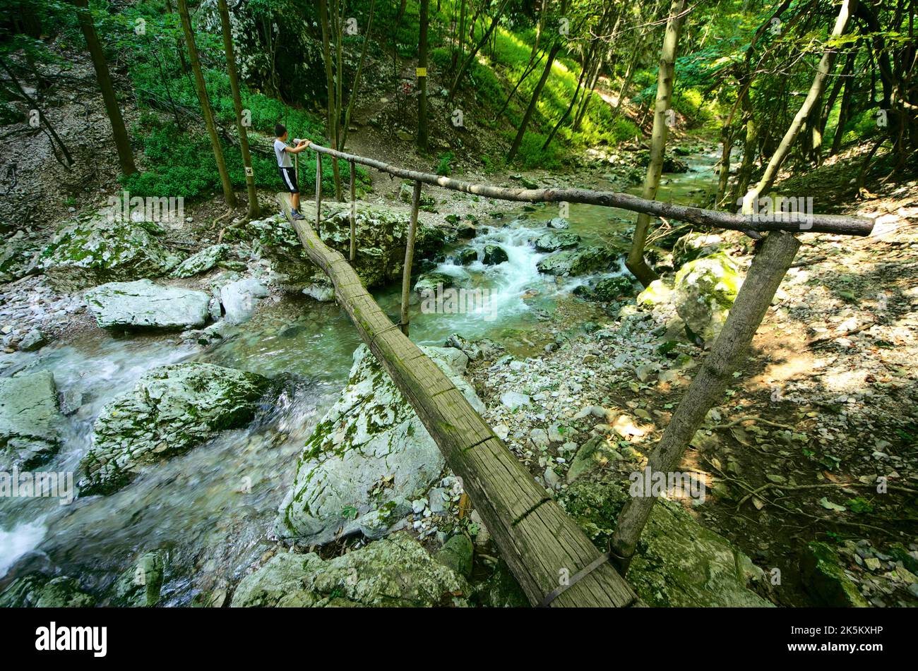 a tree trunk as pedestrian bridge over Vratna River in Serbia Stock ...