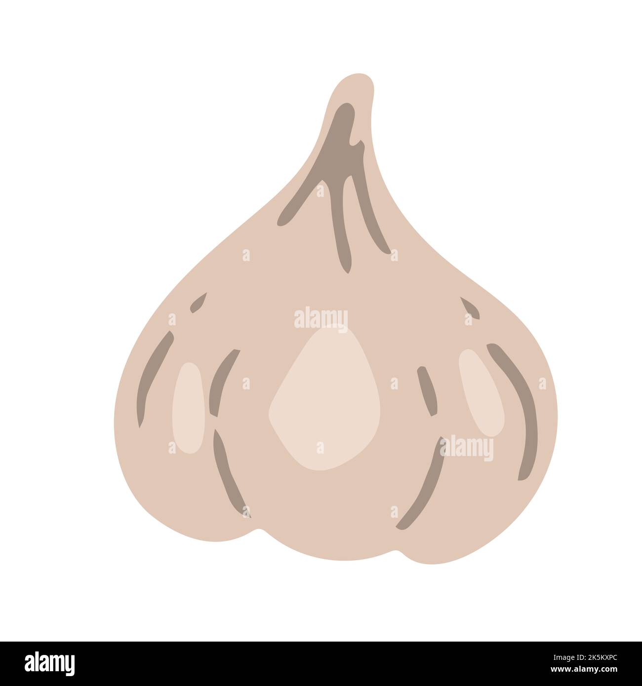 Isolated garlic whole object on white background. Food ingredient ...