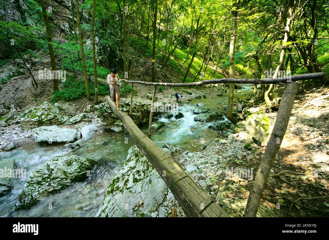 a tree trunk as pedestrian bridge over Vratna River in Serbia Stock ...