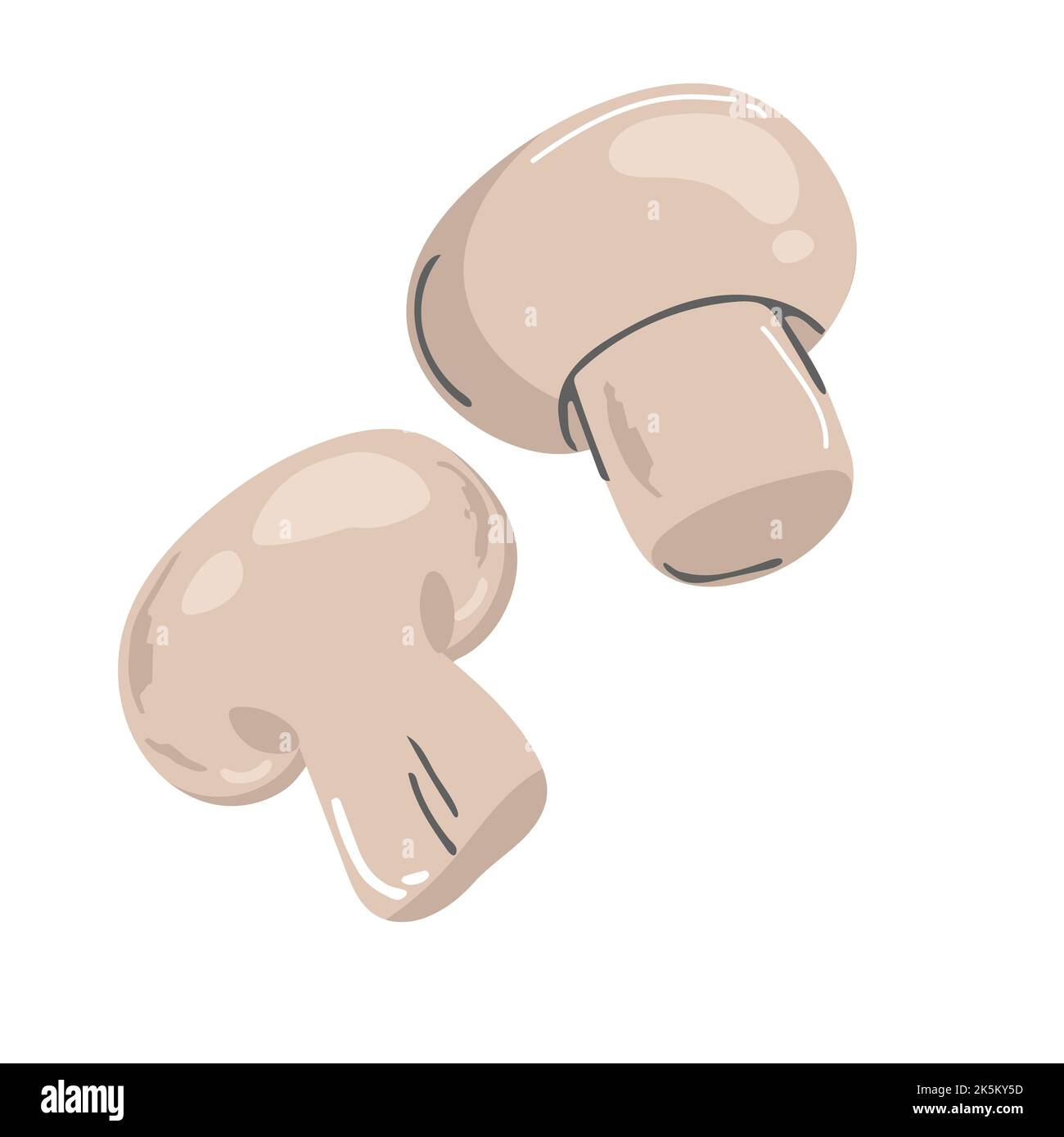 Cartoon vector icon illustration of mushroom champignon. Fresh cartoon ...