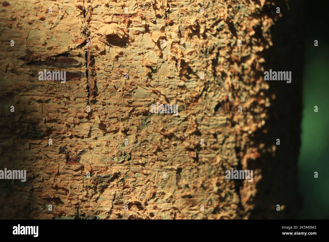 Seamless tree bark background. Brown texture of the old tree Stock ...