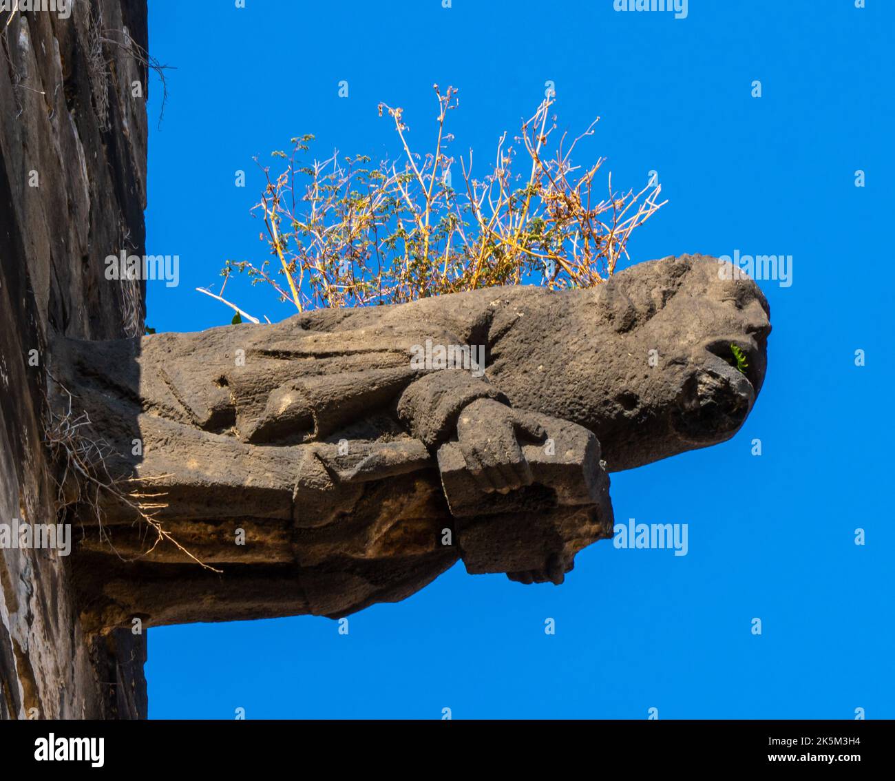 Detail of a gargoyle with branches coming out of its back holding a ...