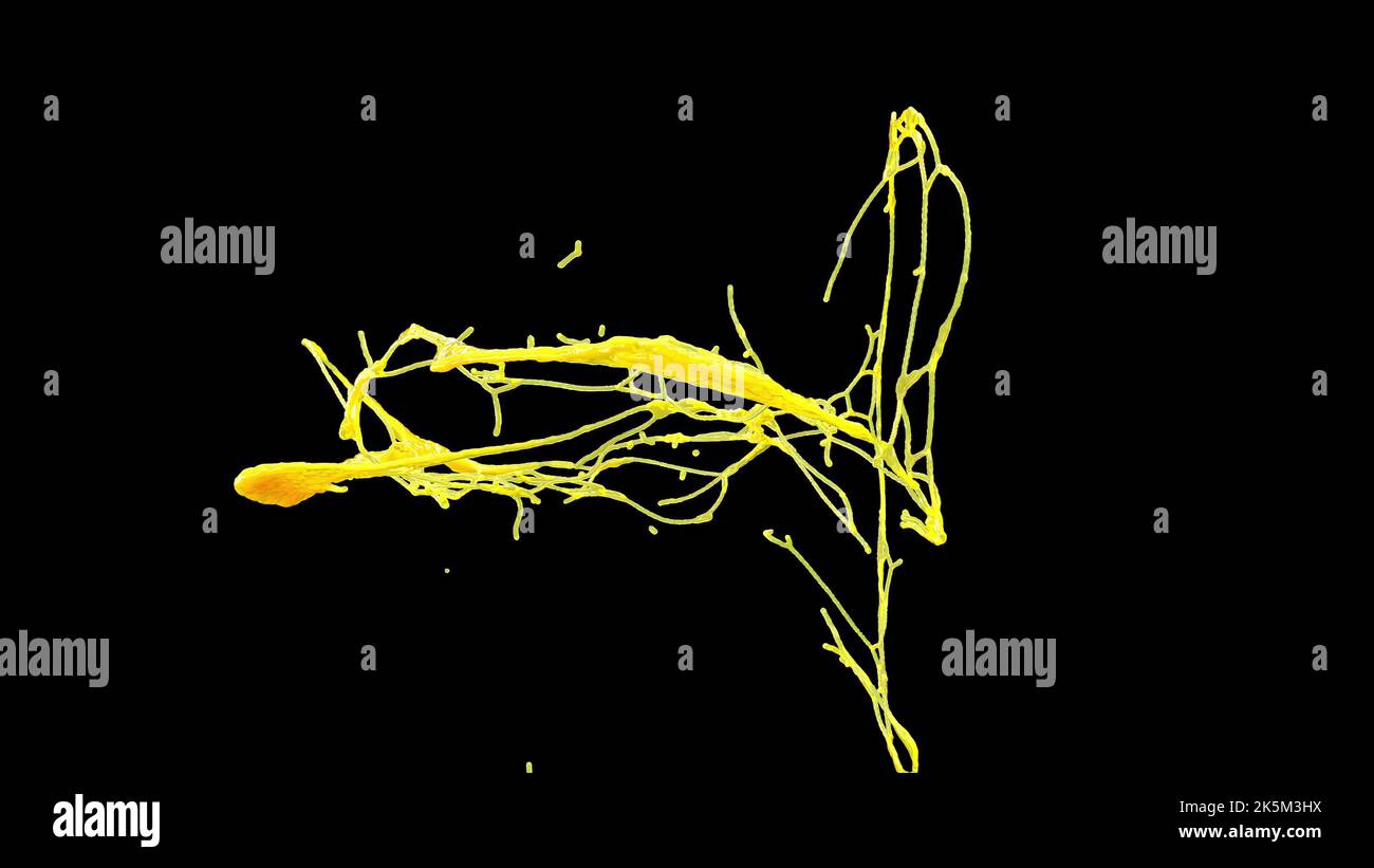 Orange juice splash Nature background Fresh Abstract liquid super slow ...