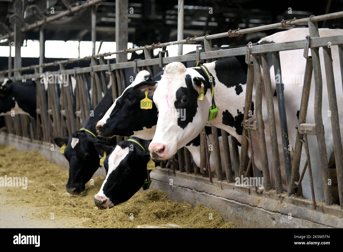 China id card hi-res stock photography and images - Alamy