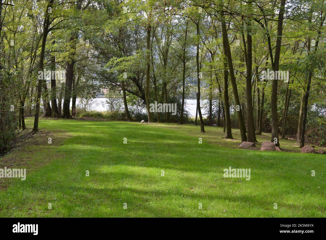 Beautiful green landscape with sunbeams divided in stripes on bright ...