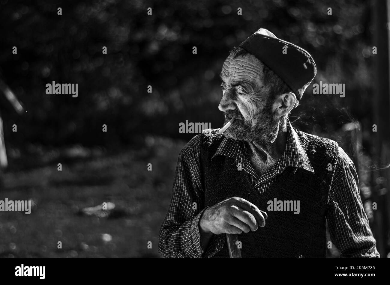 Sajkaca hi-res stock photography and images - Alamy