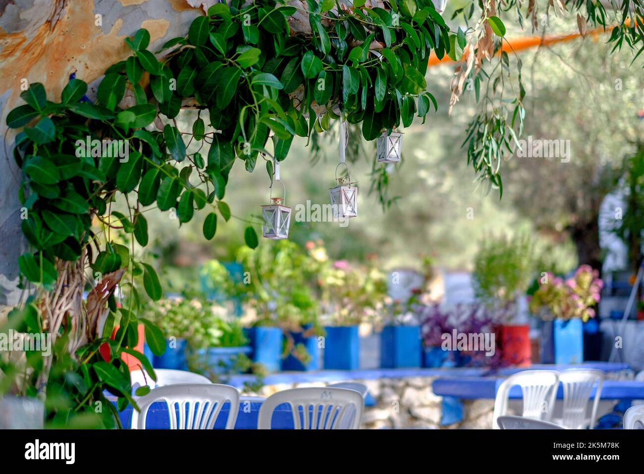 An outdoor cafe decorations hanging from a tree in Rhodes island ...