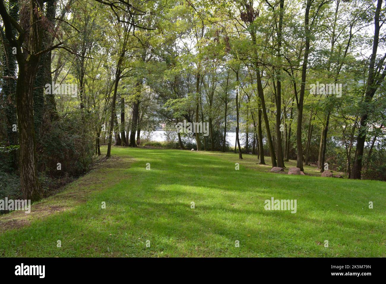 Beautiful green landscape with sunbeams divided in stripes on bright ...