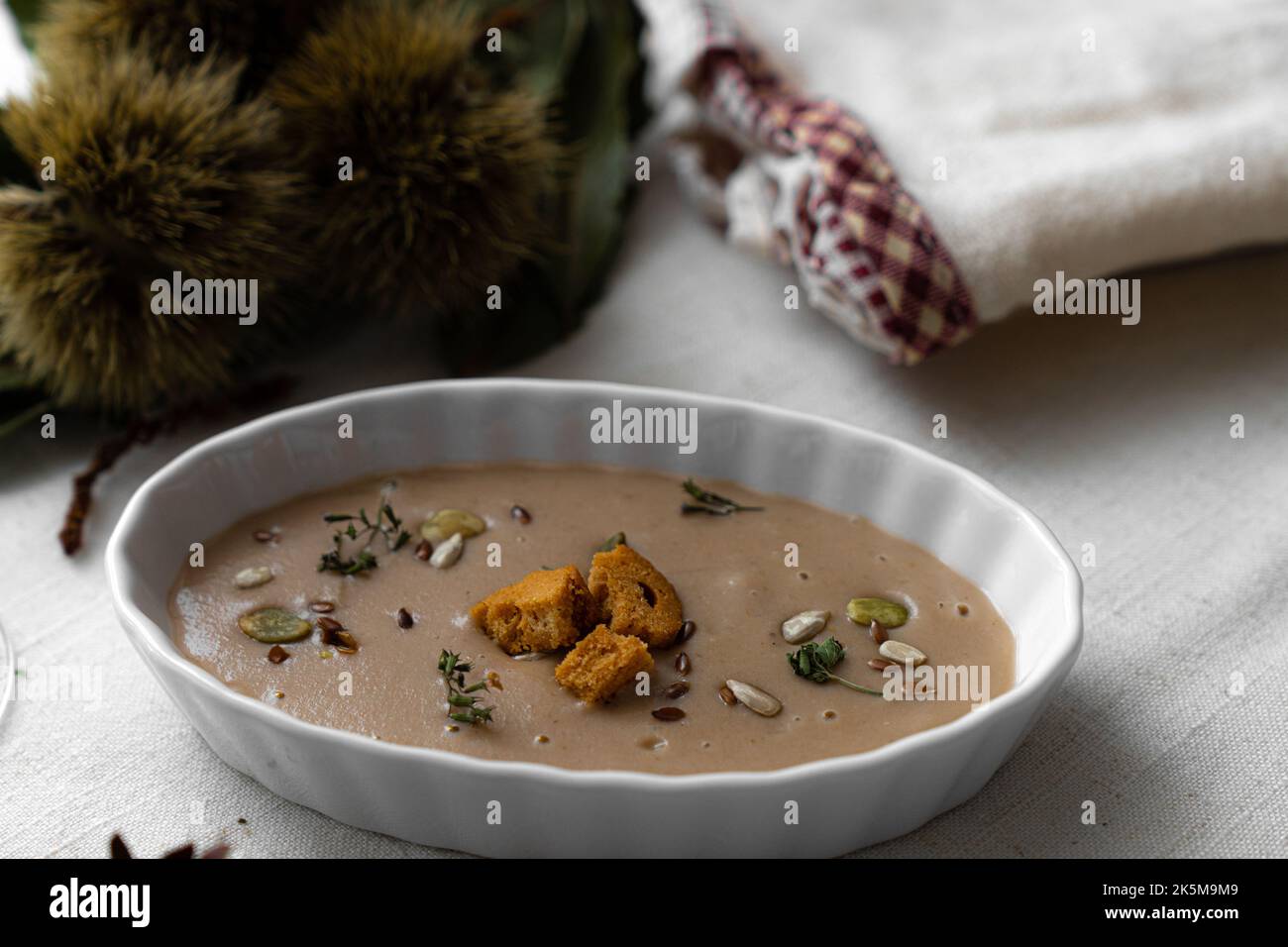 Famiglia di porcini hi-res stock photography and images - Alamy