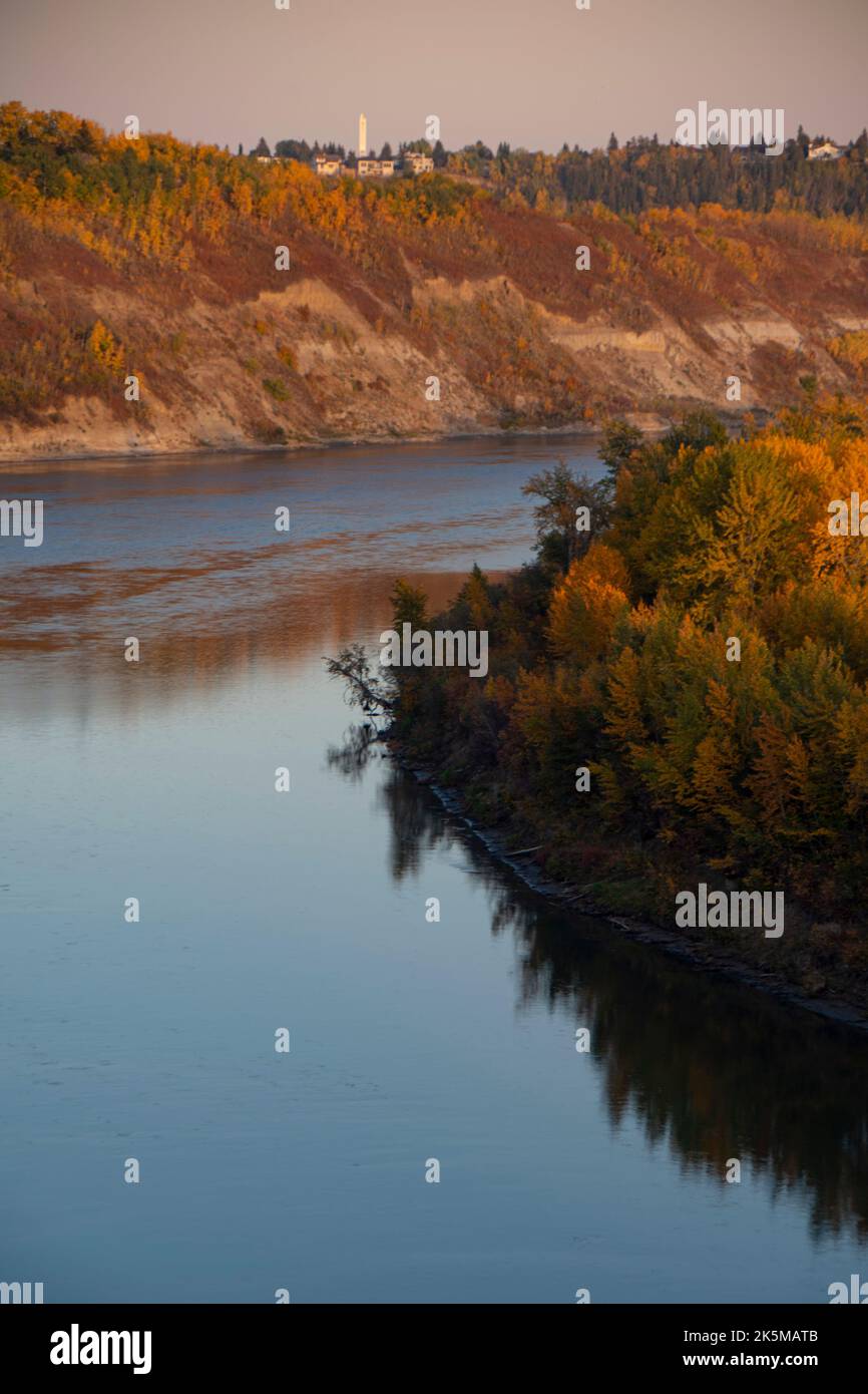 A vertical shot of the Edmonton River Valley surrounded by a plant ...