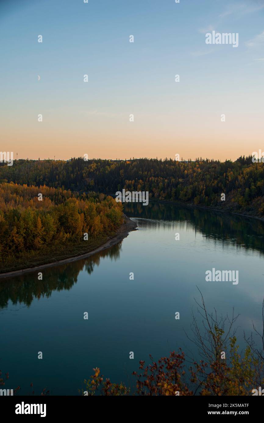 A vertical shot of the Edmonton River Valley surrounded by a plant ...