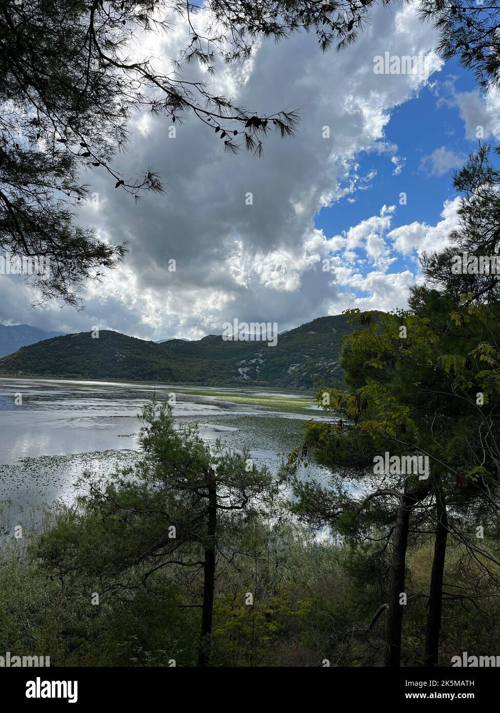 A vertical shot of a lake surrounded by hills and green forest on a ...
