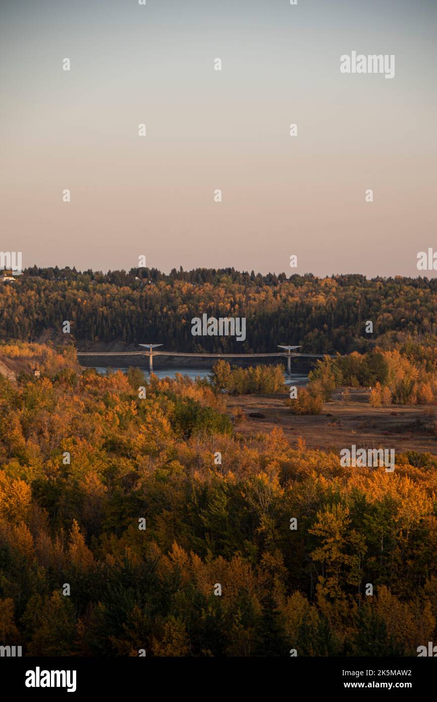 A vertical shot of the Edmonton River Valley surrounded by a plant ...