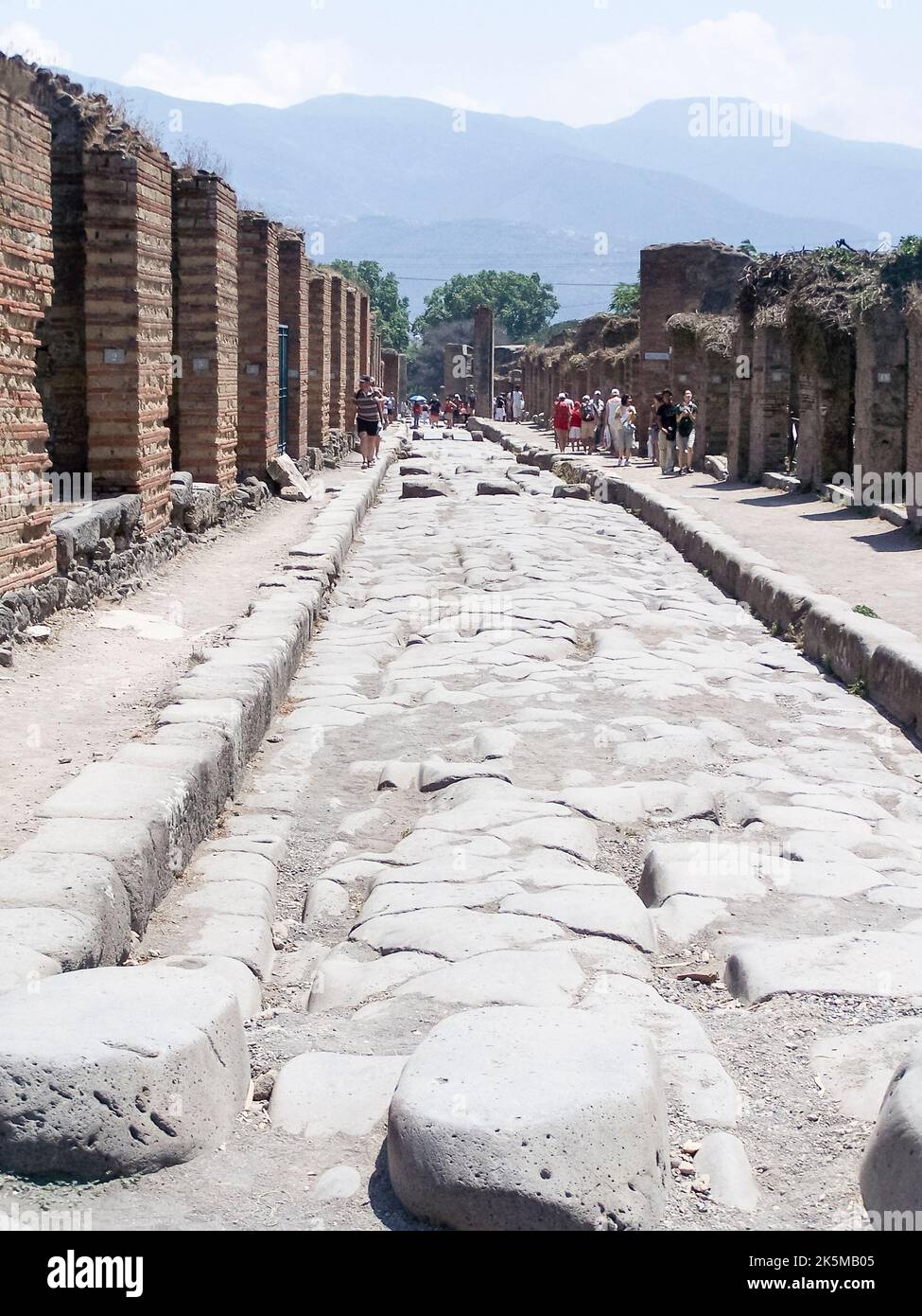 Stone paved road and footpath, with stepping stones to cross the road avoiding excrement and ...