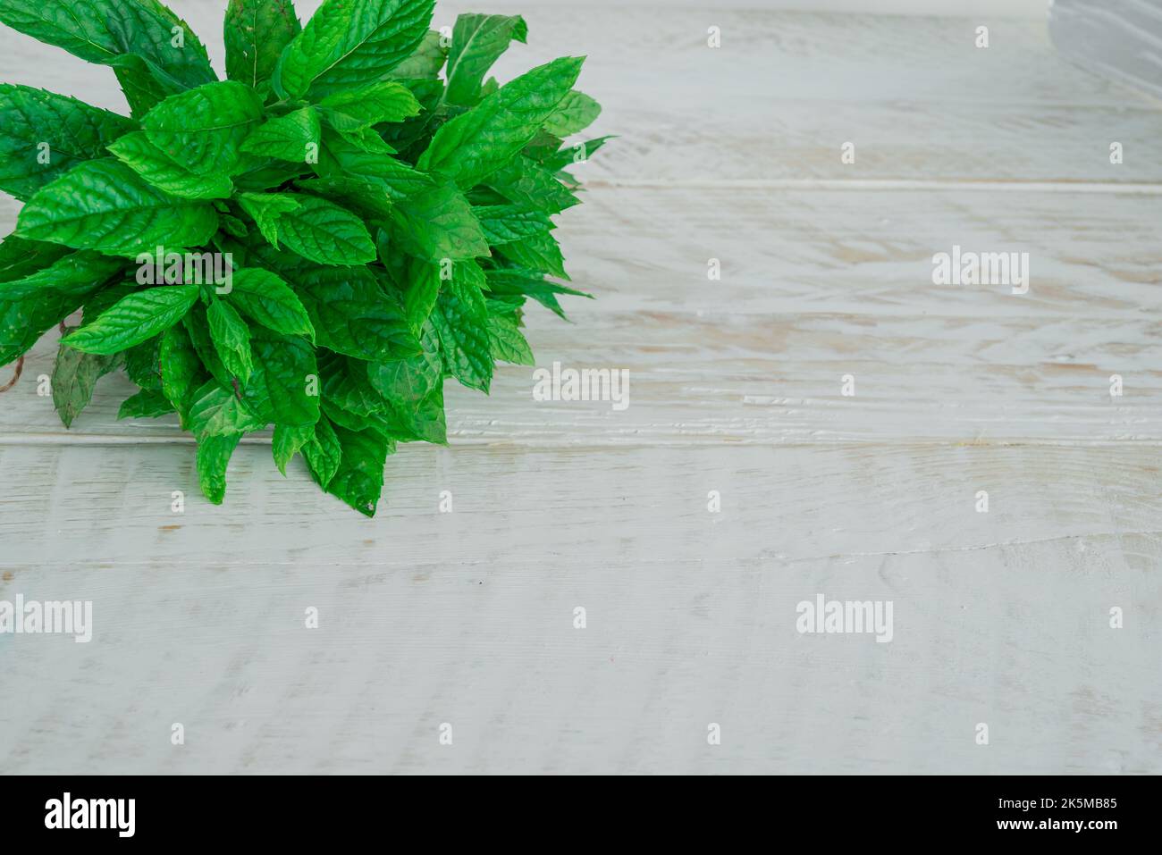 Peppermint leaves deep color hi-res stock photography and images - Alamy