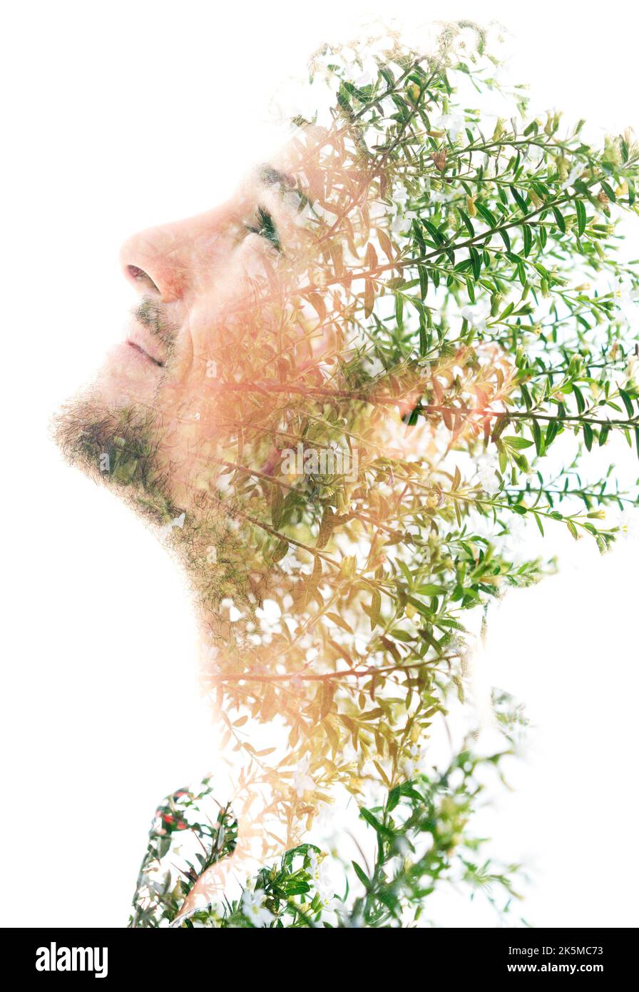 Sunshine double hi-res stock photography and images - Alamy