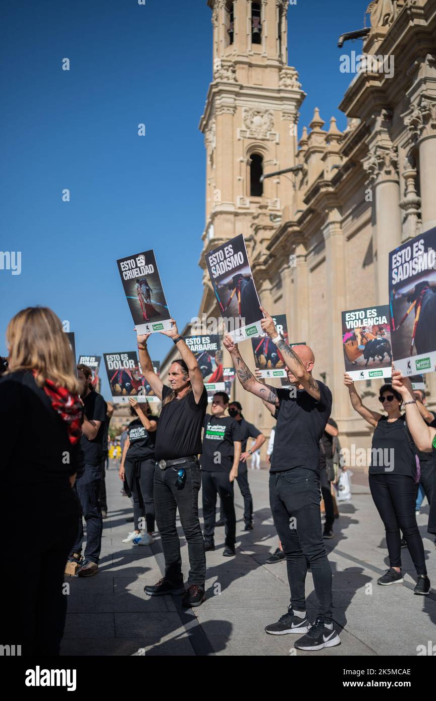 Animalist protestors hi-res stock photography and images - Alamy