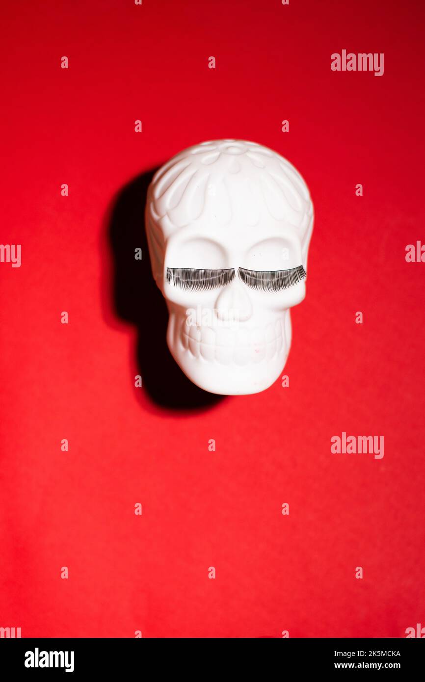 Cheerful Human skull with eyelashes on a red background Stock Photo - Alamy