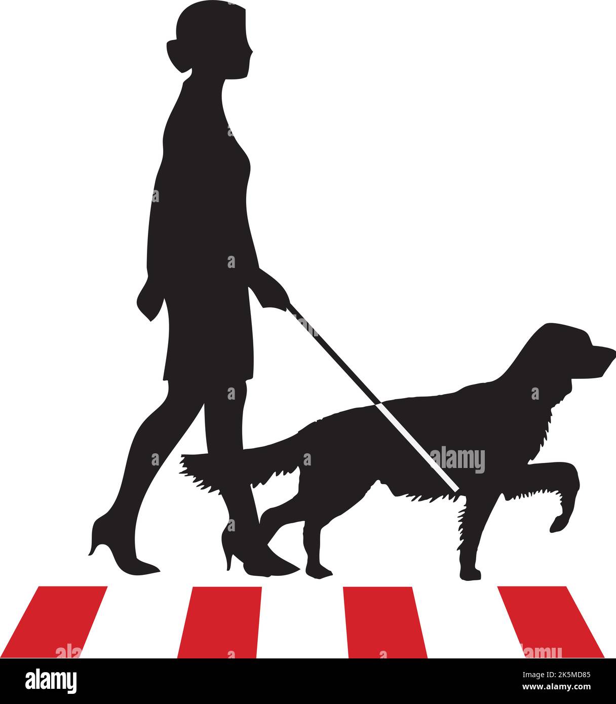 Blind woman walking with guide dog and walking stick. Fictional plot ...