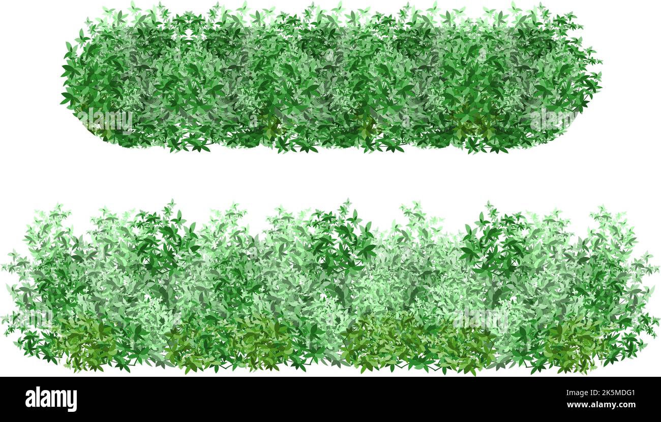 Realistic garden shrub, seasonal bush, boxwood, tree crown bush foliage ...