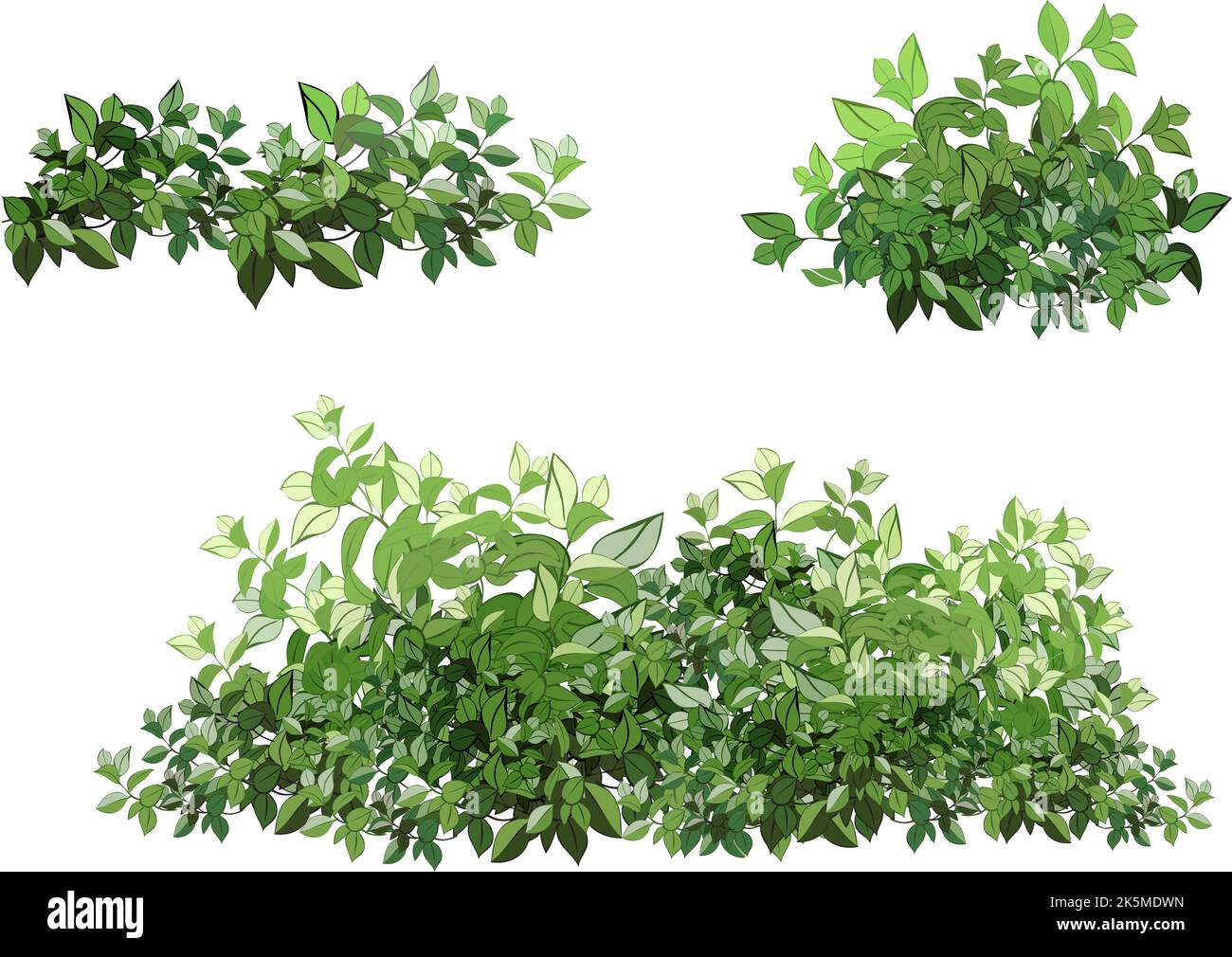 Realistic garden shrub, seasonal bush, boxwood, tree crown bush foliage ...