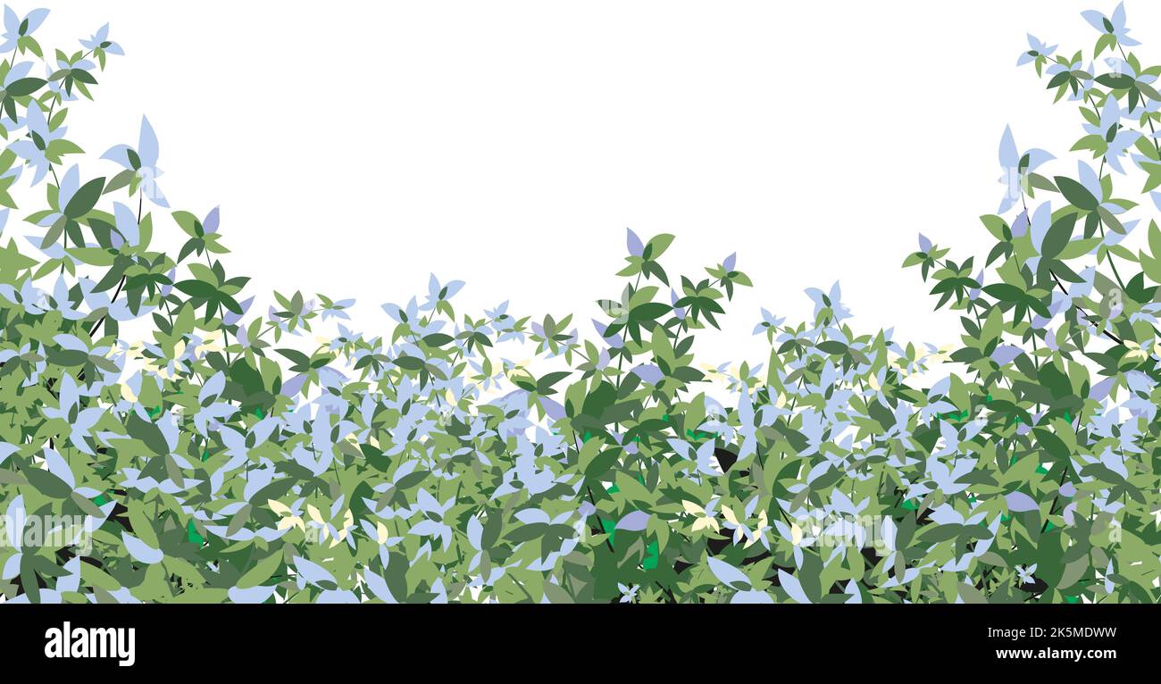 Realistic garden shrub, seasonal bush, boxwood, tree crown bush foliage ...